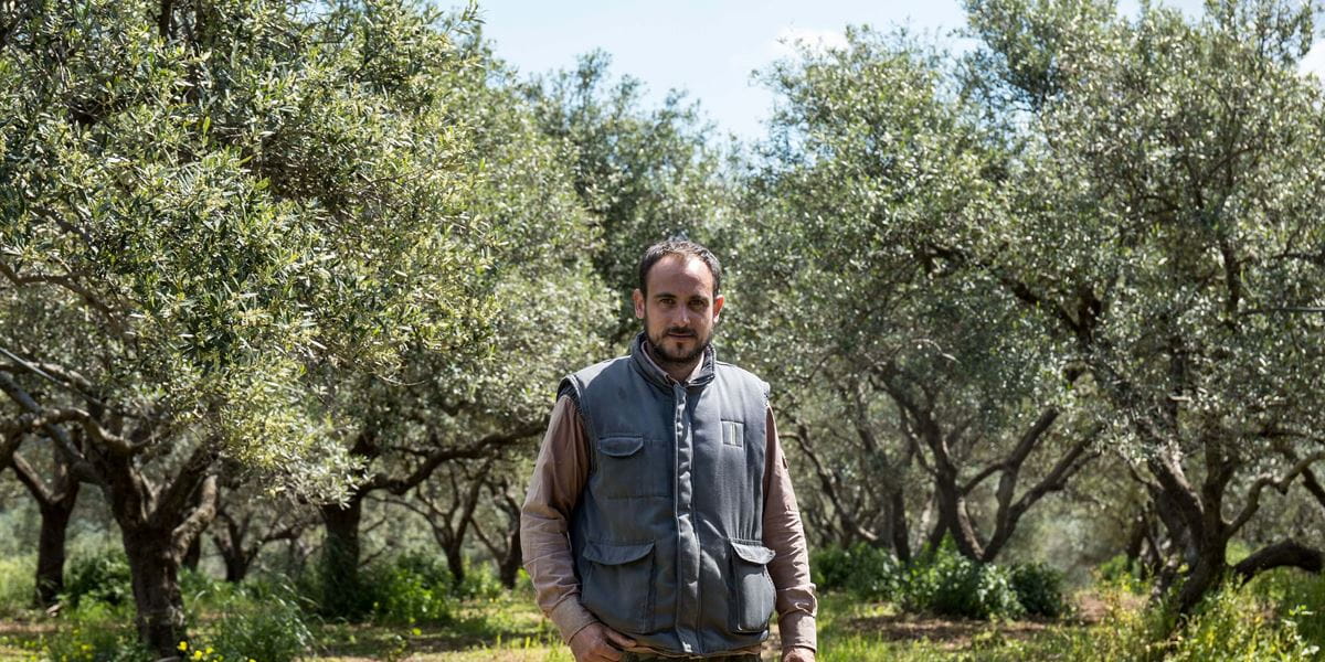 Altis - Extra Virgin Olive Oil No.1 in Greece